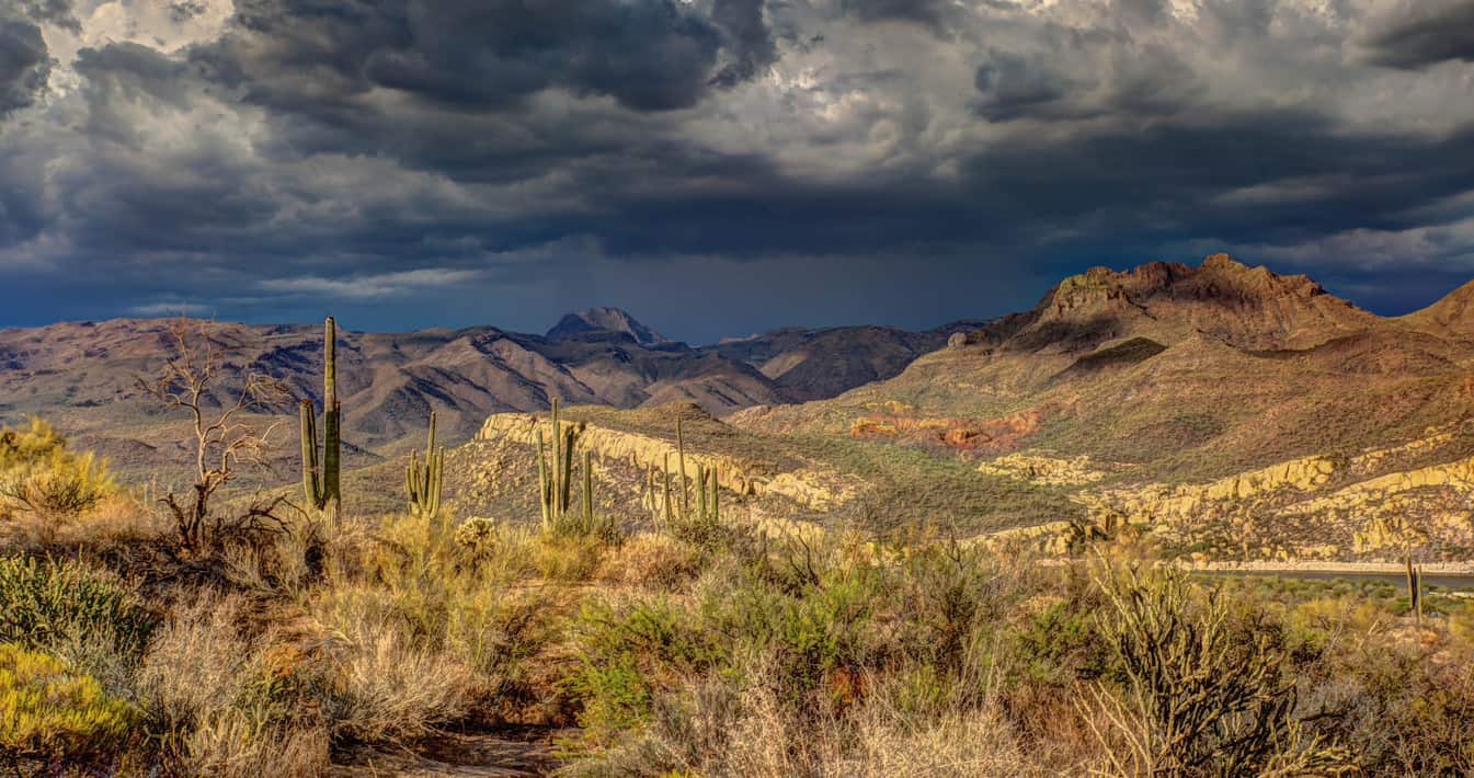 Hunting in Arizona | Campfire Collective Blog