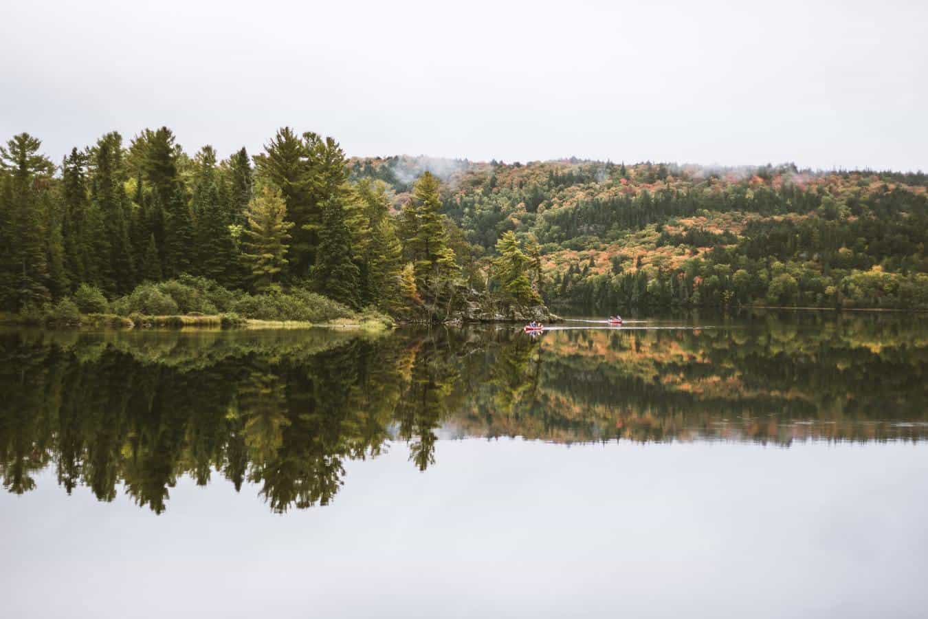 Escaping into Algonquin Park | Campfire Collective