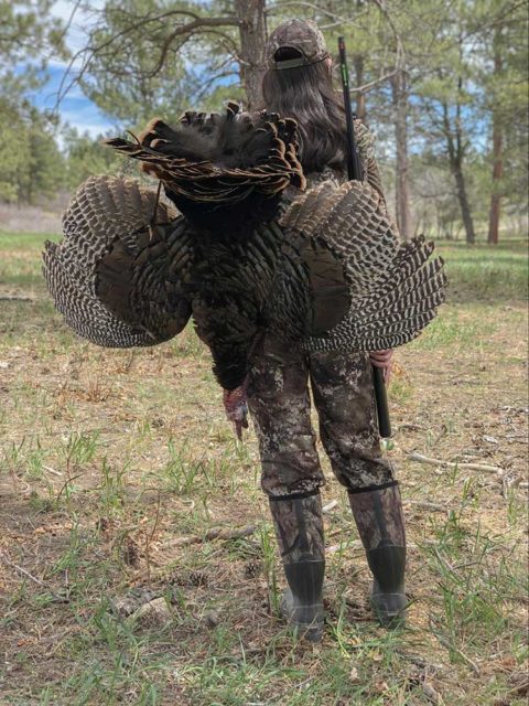Beginners Guide to Turkey Hunting | Campfire Collective