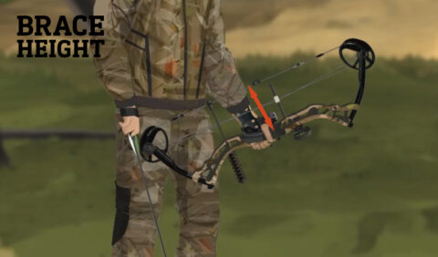 Beginner’s Guide to Selecting a Compound Bow | HUNTINGsmart!