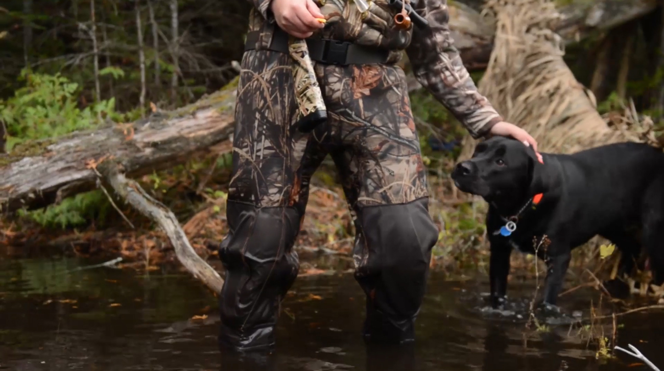 Where to Get a Hunting License in Your State | Campfire Collective